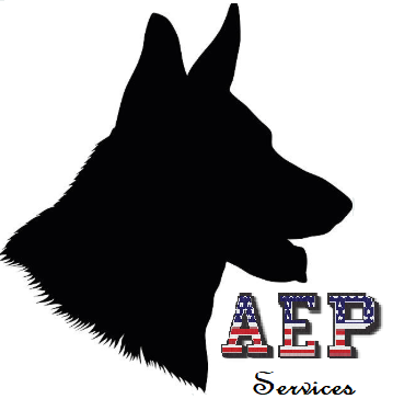 cropped-aep-logo-3-3.png – AEP SERVICES